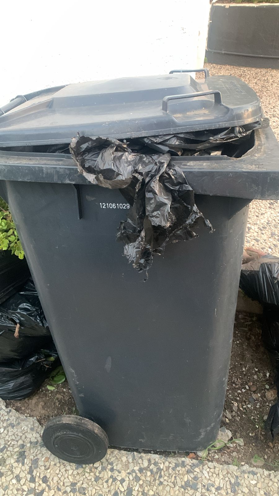Services - REFUSE MAN